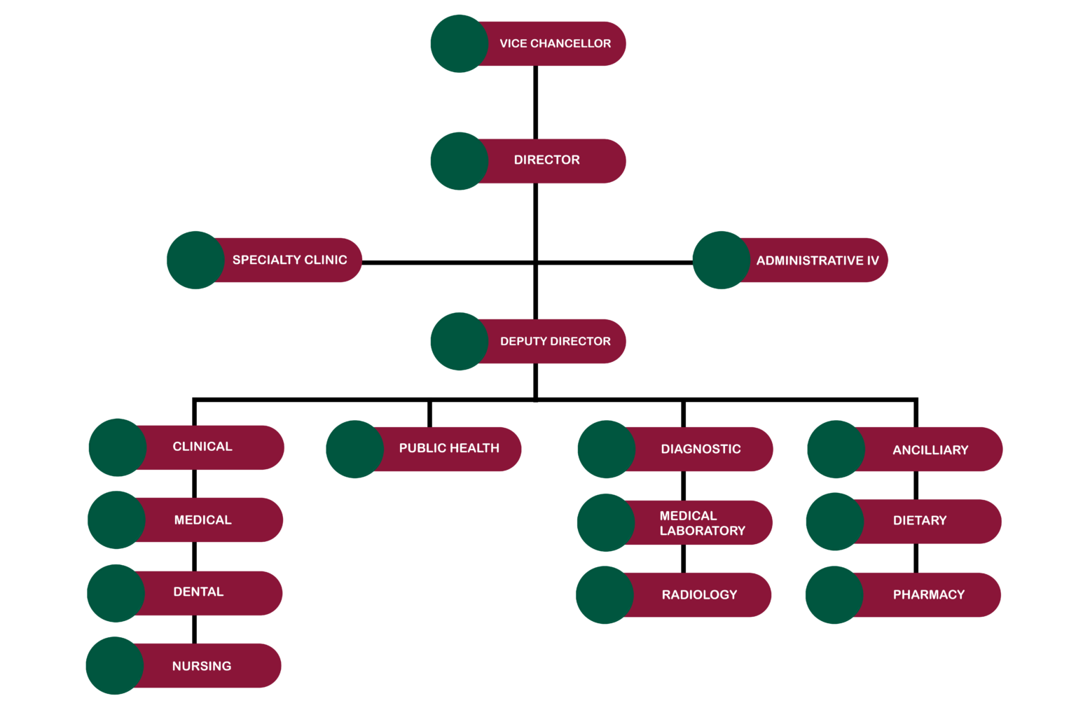 Organizational Structure – Office of the Vice Chancellor for Community ...